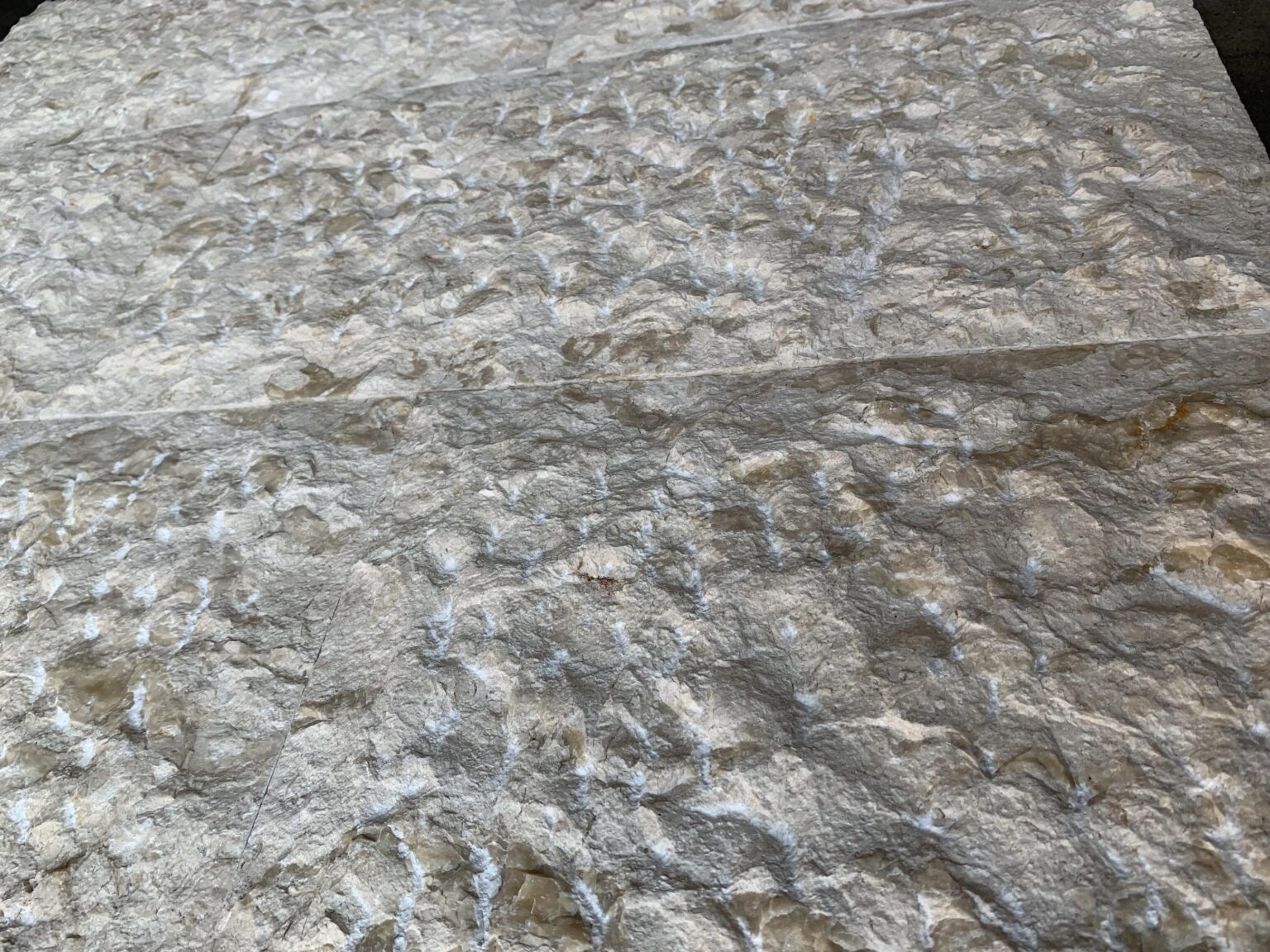 Shell Stone Limestone 12x24 Splitface Veneer - Stonex Tile