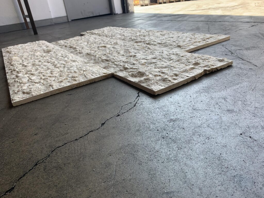 Shell Stone Limestone 12x24 Splitface Veneer - Stonex Tile