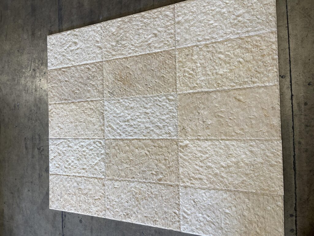 Shell Stone 12x24 Split Face Limestone Veneer - Stonex Tile