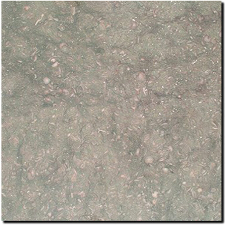Seagrass 12x12 Honed Limestone Tile - Stonex Tile