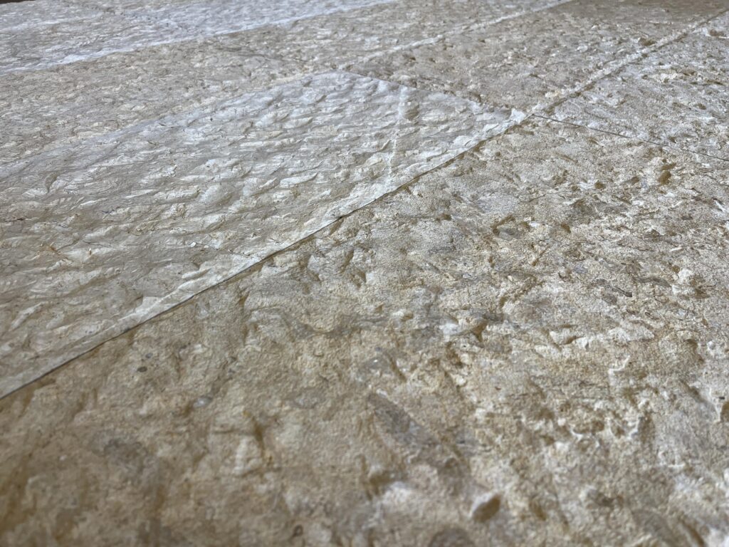 Shell Stone 12x24 Split-Face Limestone Veneer - Stonex Tile