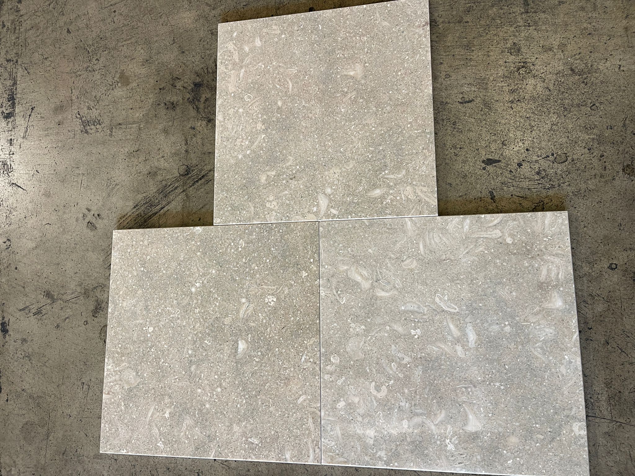 Seagrass 12x12 Polished Limestone Tile - Stonex Tile