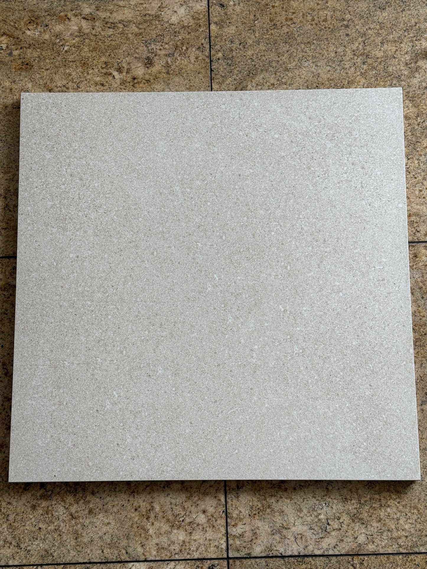 Fresca 24x24 Natural Porcelain Paver - Stonex Tile